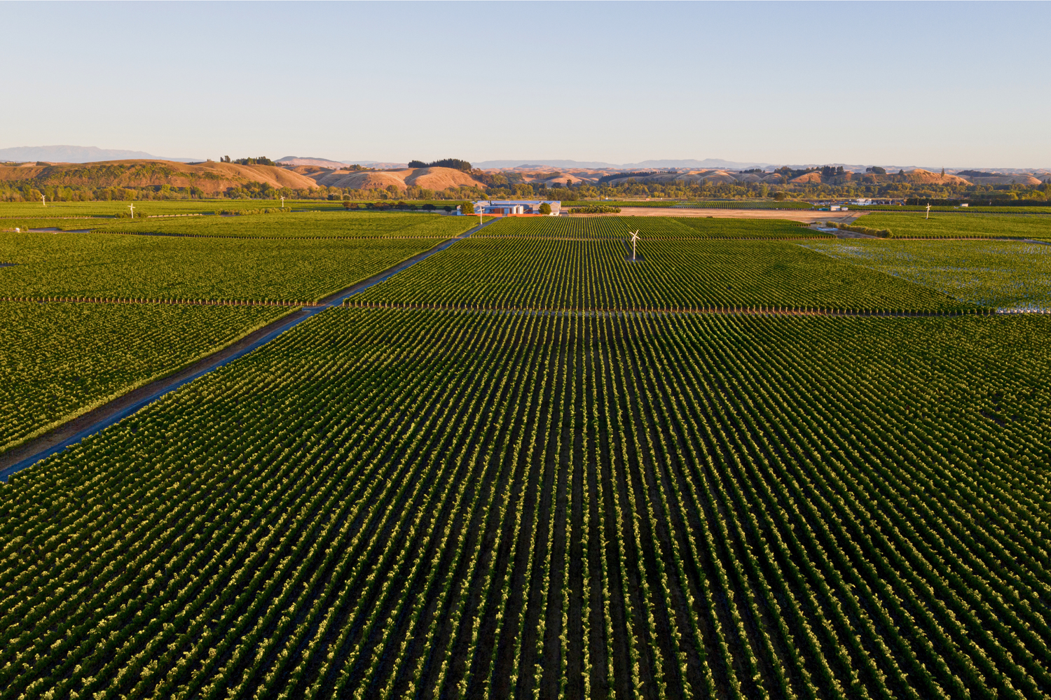 Vineyards – Craggy Range